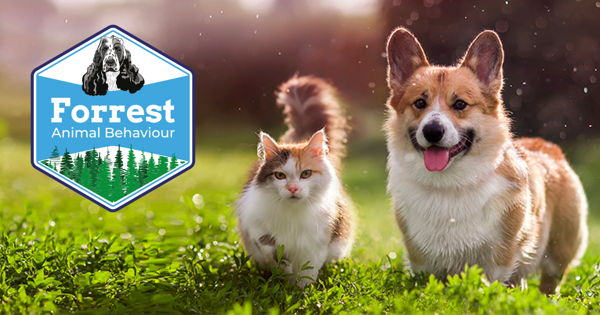 Forrest Animal Behaviour | Animal Behaviourist based in Market Drayton ...